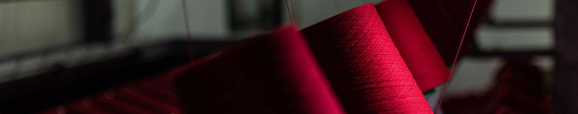 Zegna Baruffa Lane Borgosesia S.p.A.